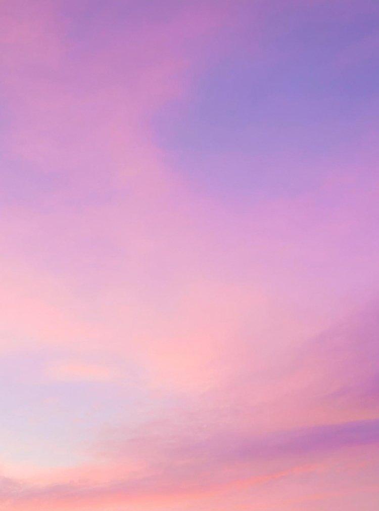 Large Sale | COACH®